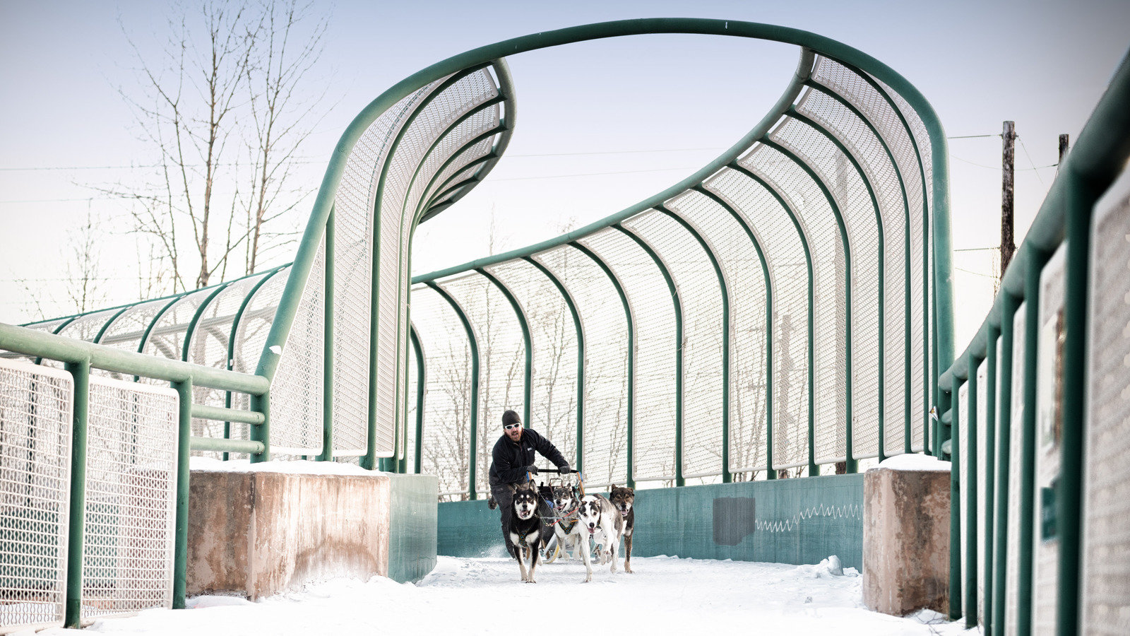 Petition · Rename Tudor Crossing Bridge to "The Champions Bridge ...