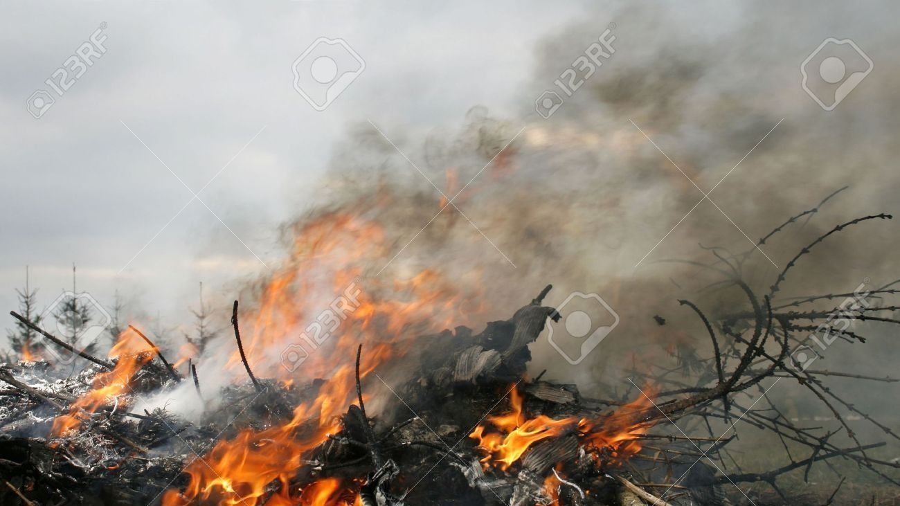 Petition · Change the law on garden bonfires - United Kingdom · Change.org