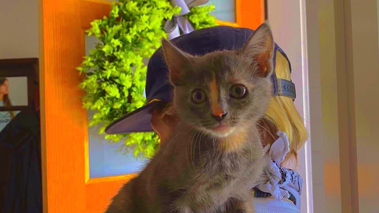 Petition · I want to keep my cat bro - United States · Change.org