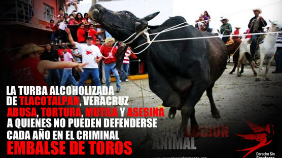 Petición · Alto al embalse de Toros en Tlatalpan Veracruz - México ...