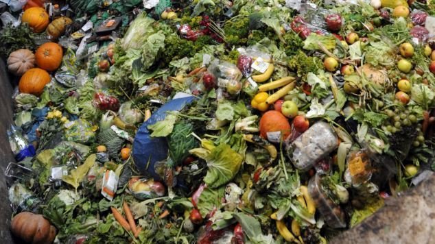 Petition · Stop contributing to massive food waste - United States ...