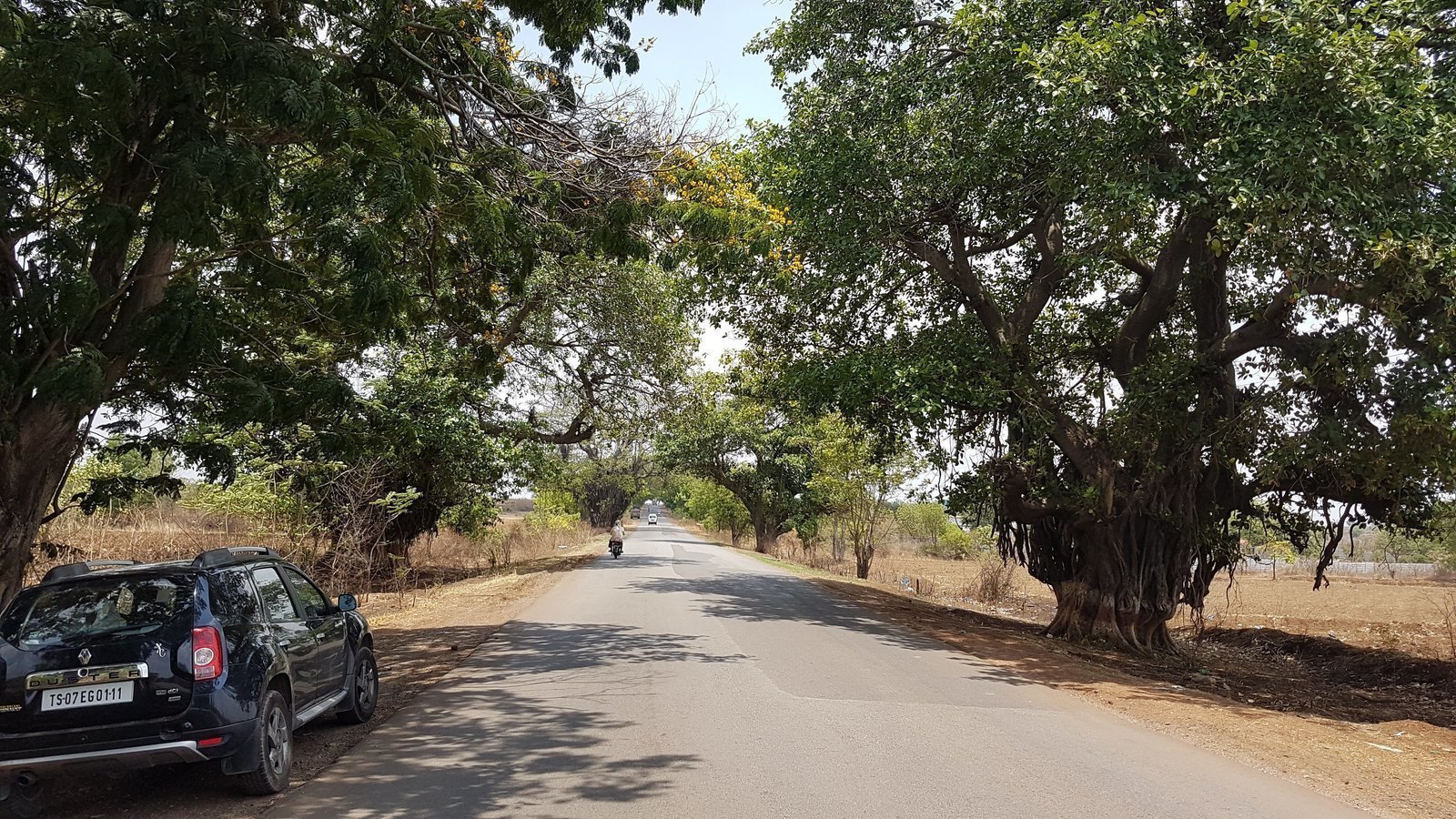 Petition · Save over 900+ Banyan Trees Hyd-Chevella Road widening by ...