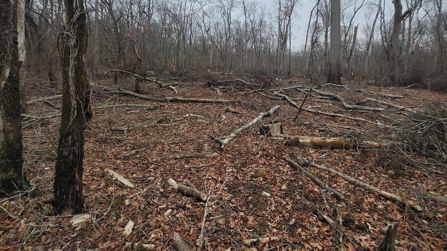 Petition · Ban Logging of Public Bottomland Hardwoods in Arkansas ...