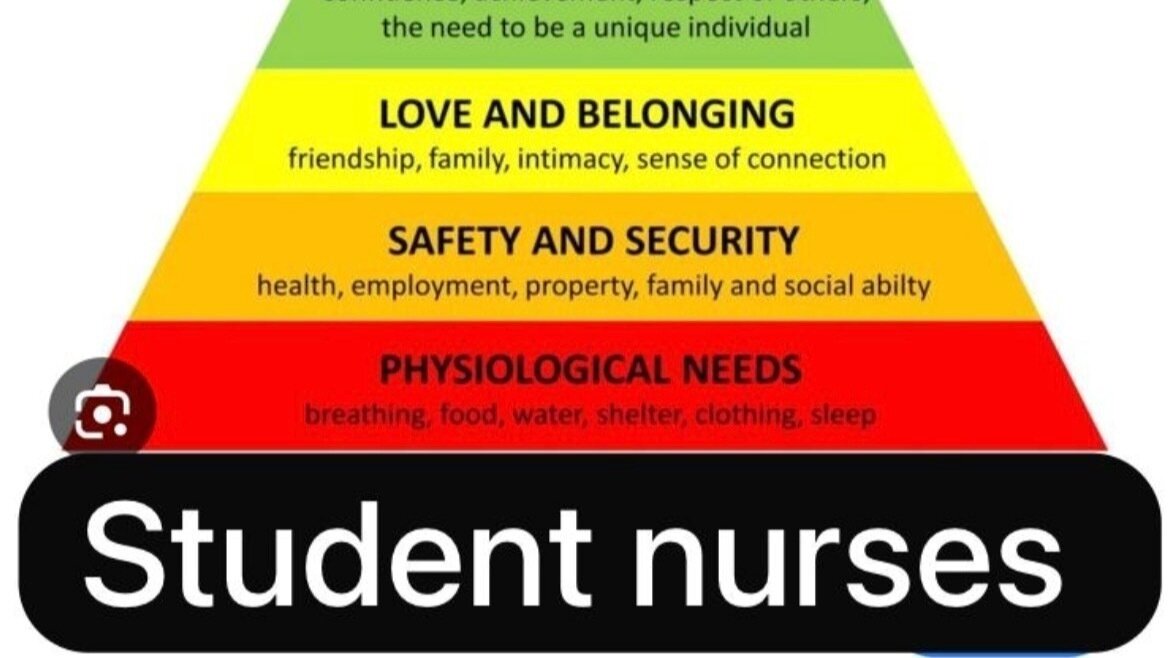 Petition · Save the future of nursing in the UK. Pay student nurses on ...