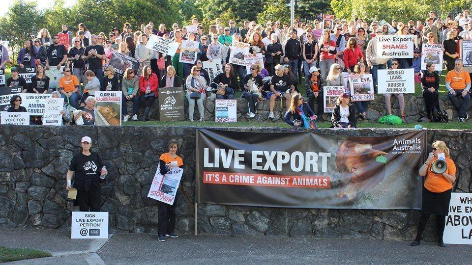 Petition · 'Ban Live Exports' 'No Ban No Vote' - Australia · Change.org
