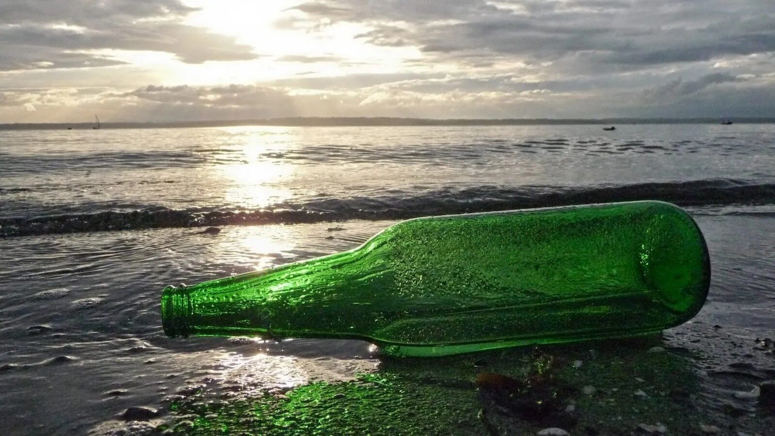 Petition · Reinstate Container Deposit Legislation to Address Pollution ...