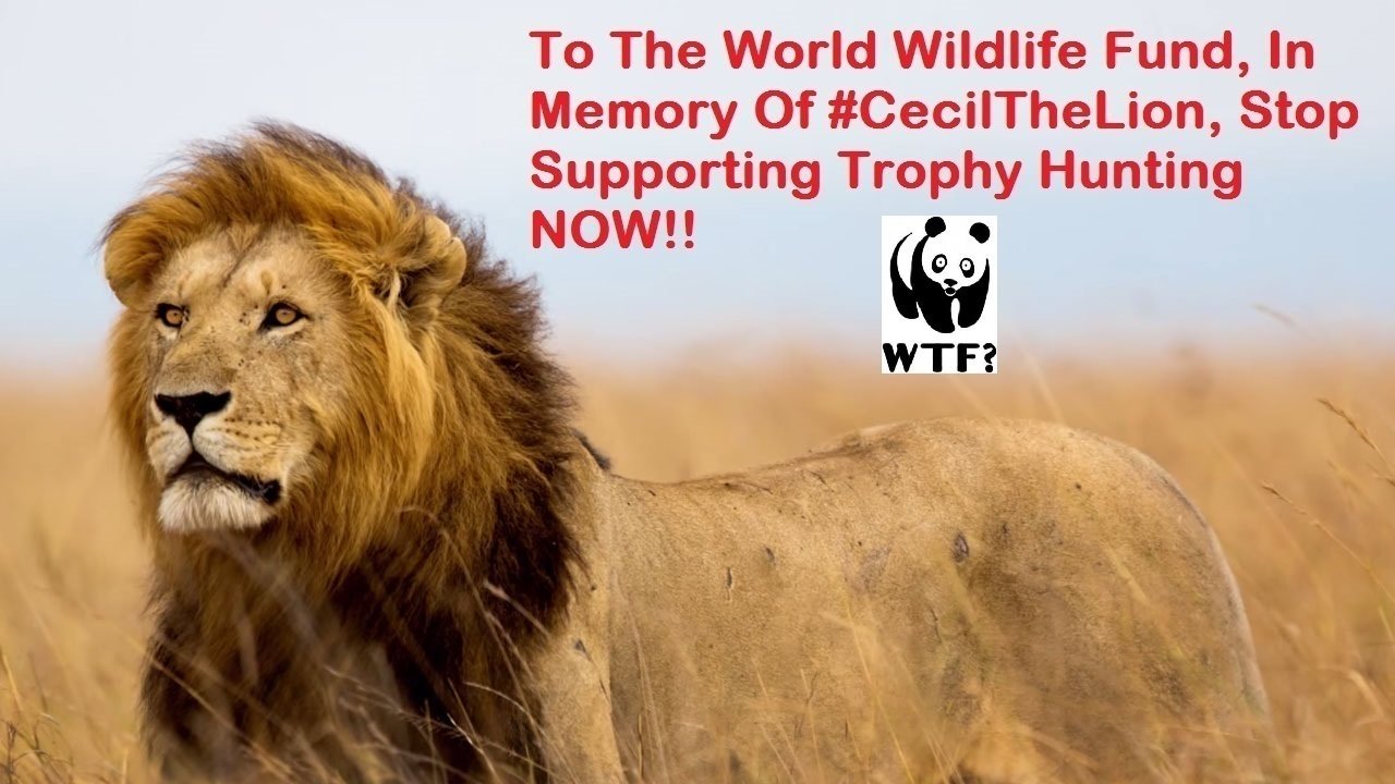 Petition · @WWF, In Memory Of #CecilTheLion, Stop Supporting Trophy ...