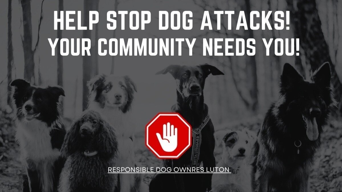 Петиция · Hold Local Authorities and Police Accountable for Dangerous ...