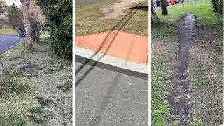 Petition · Provide Safe Crossings & Footpaths for Children to Walk to ...