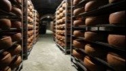 Petition · Make the US Cheese Caves a Public Attraction. · Change.org