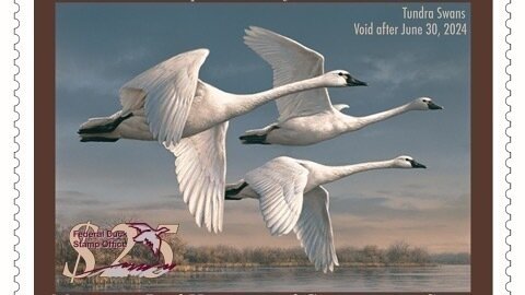 Petition · Improve Waterfowl Conservation and Management in South ...