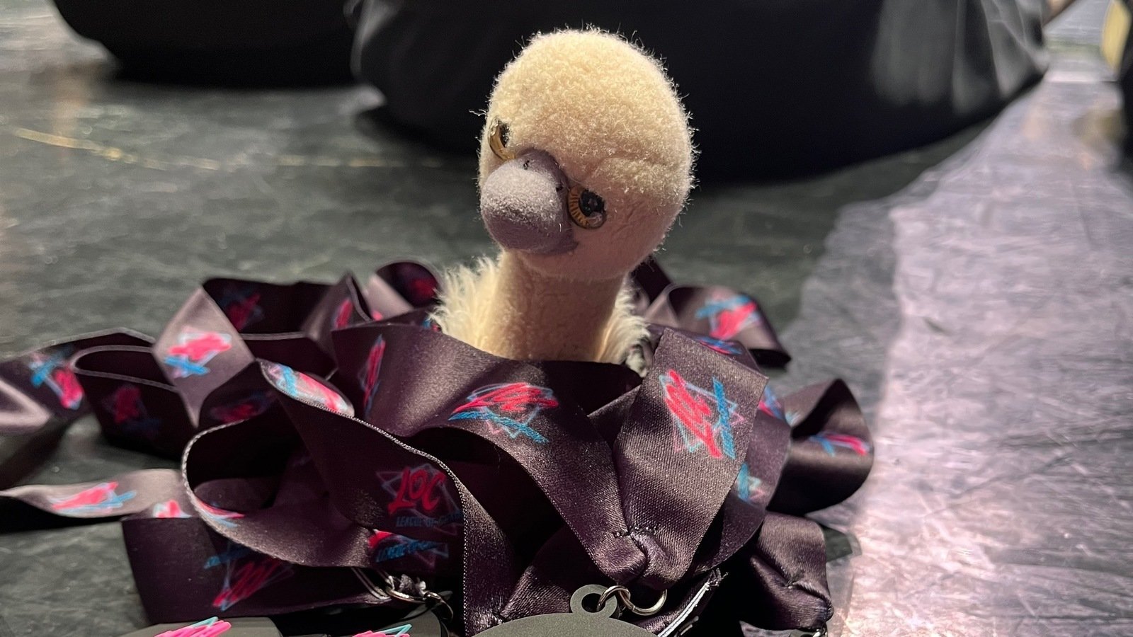 Petition · FREE GERALD - United States · Change.org