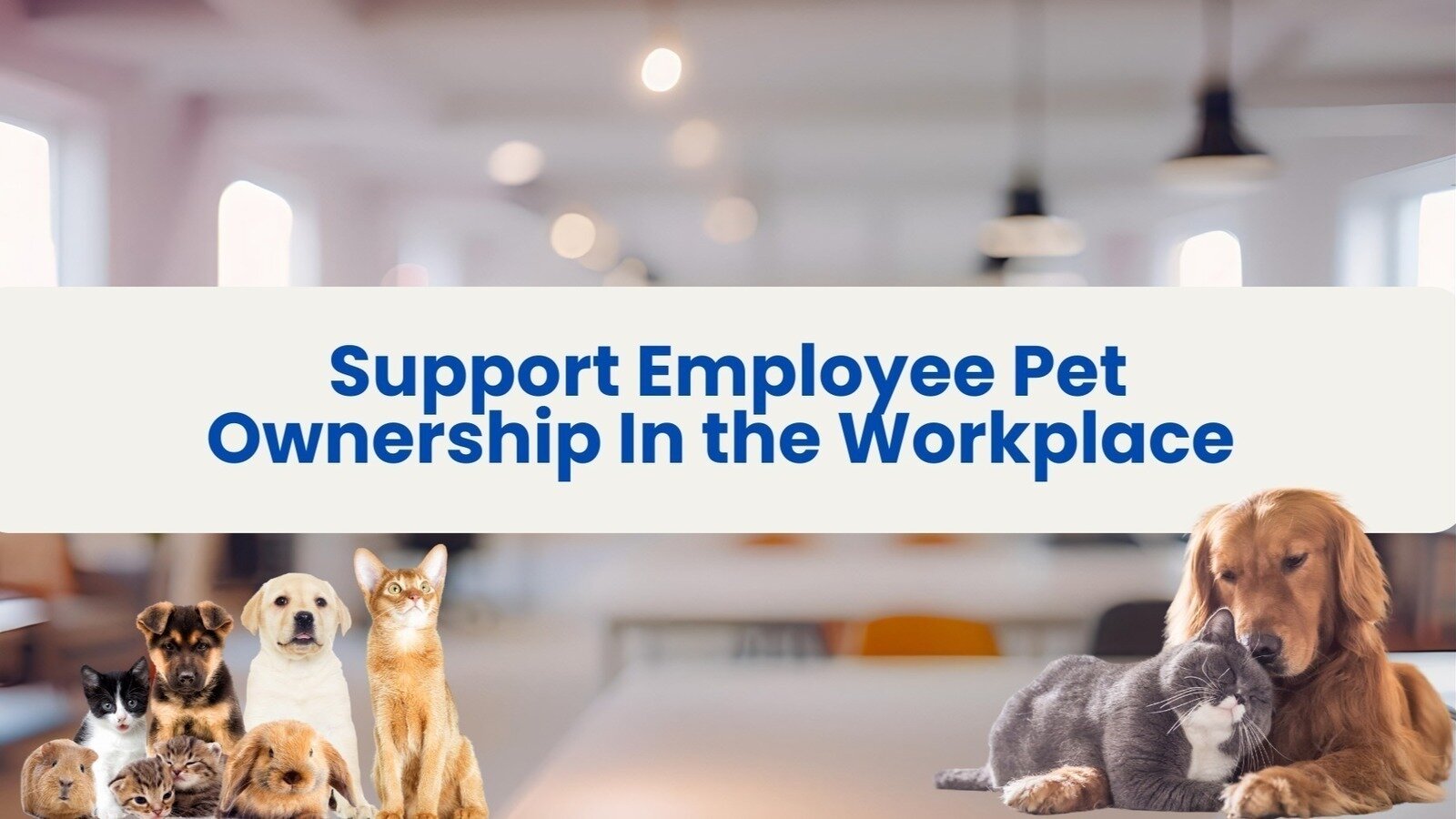 Petition · Support Employee Pet Ownership In the Workplace - United ...