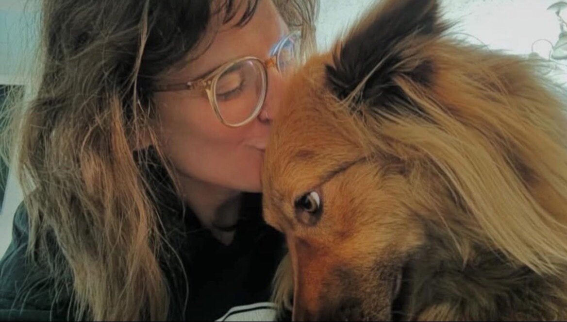 Petition · Implement Seasonal River Risk Signage at Jacob’s Island Dog ...