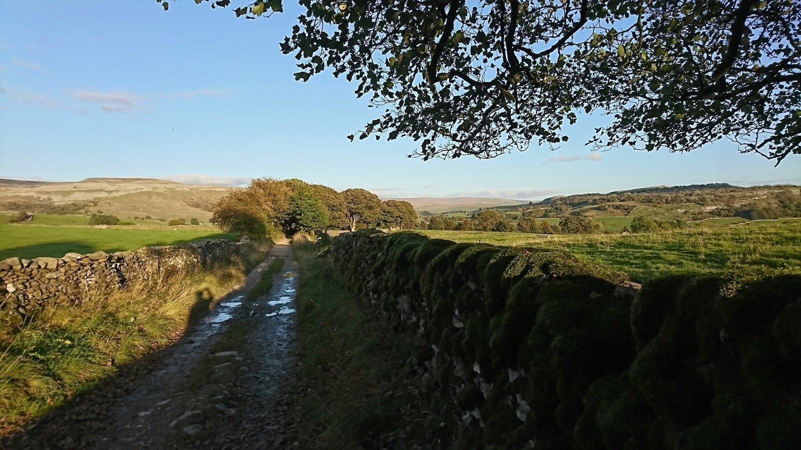 Petition · 'No' to logging trucks along Ancient Public Bridleway and ...
