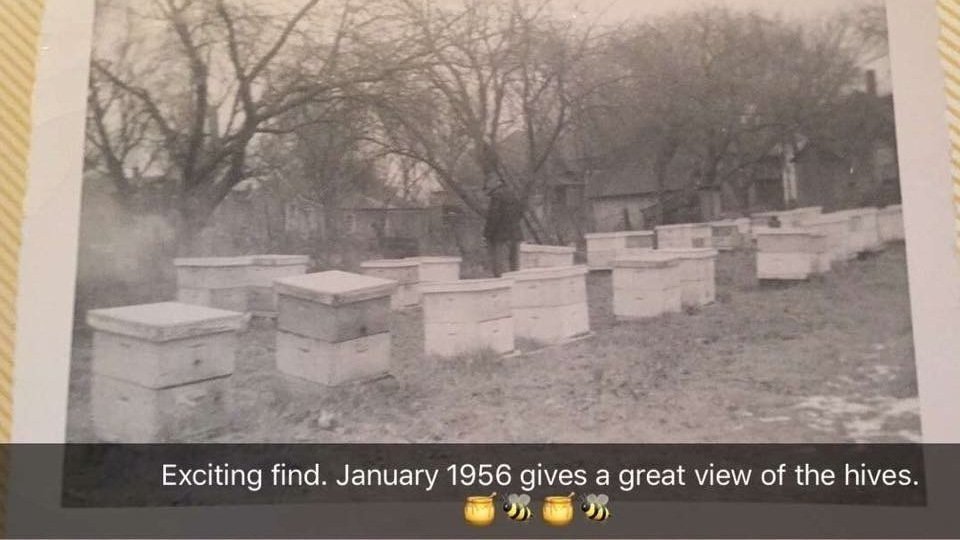 Petition · Say NO to the bee ban City of Aledo ordinance. Currently in ...
