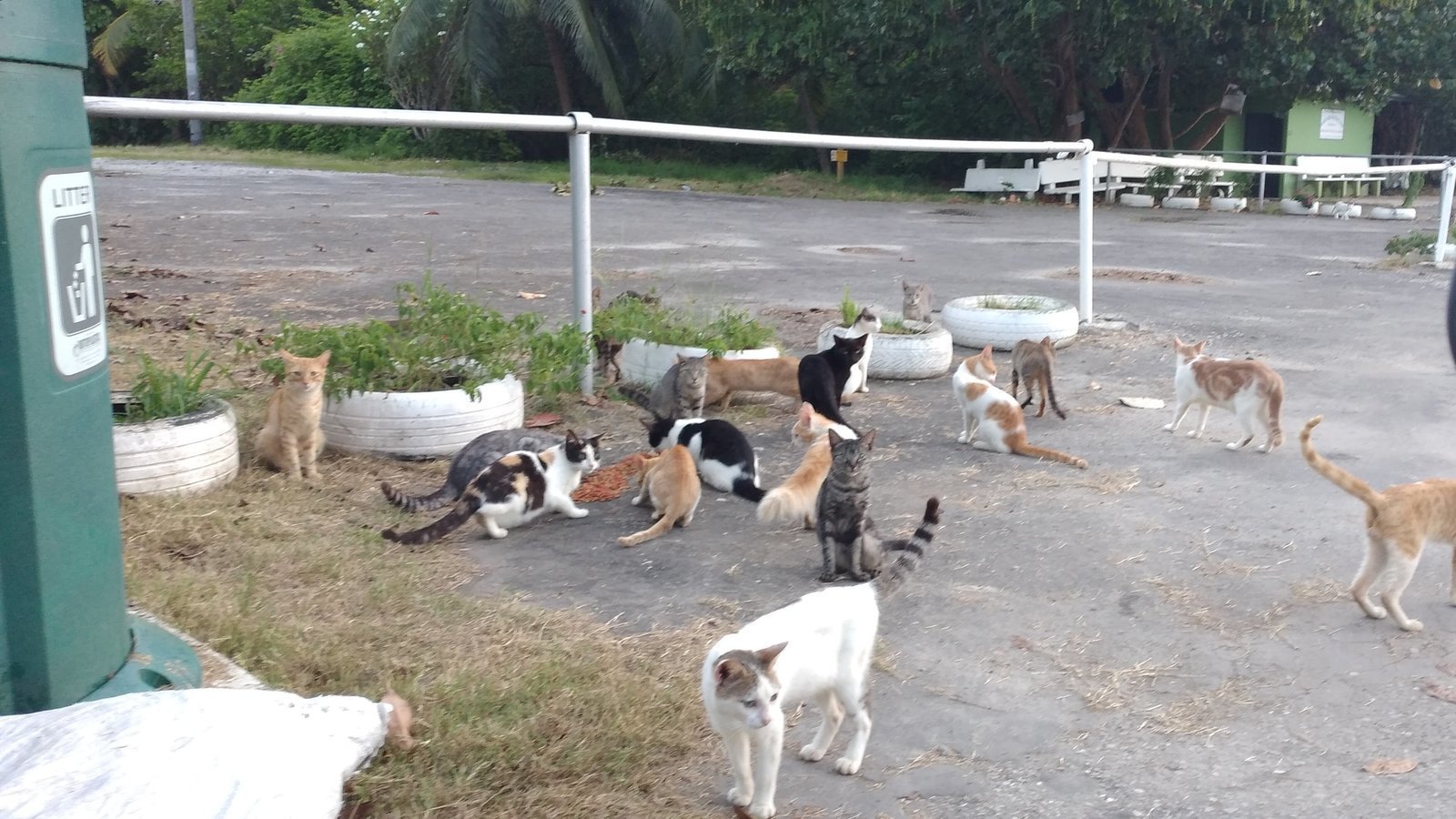 Petition · Help stop the dumping of animals at the Caroni Bird ...