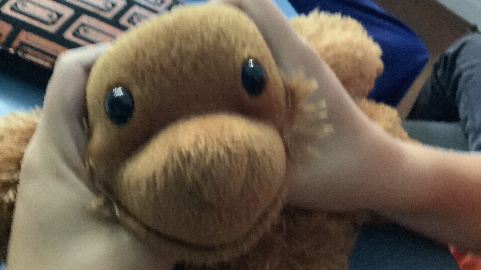 Petition · Pls save monkey - Australia · Change.org