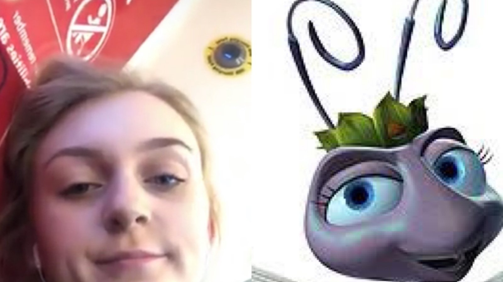 Petition · make chelsea buick the girl bug in the bugs life live action ...