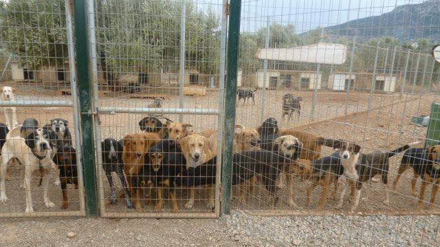 Petition · Παροχή νερού στο καταφύγιο ζώων της Μονεμβασιας - Restore ...
