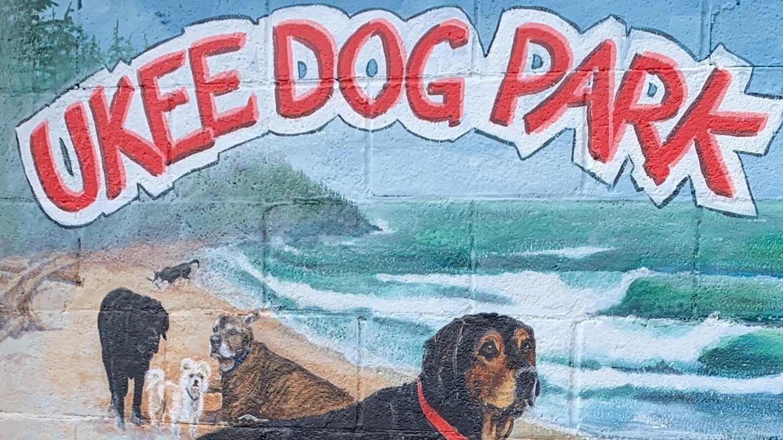 Petition · Save The Ucluelet Community Dog Park - Ucluelet, Canada ...