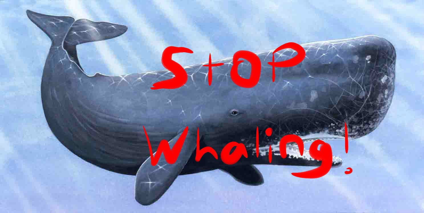 Petition · Stop Whaling - Australia · Change.org