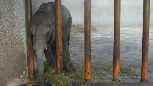 Petition · Ban zoo culture in India - India · Change.org