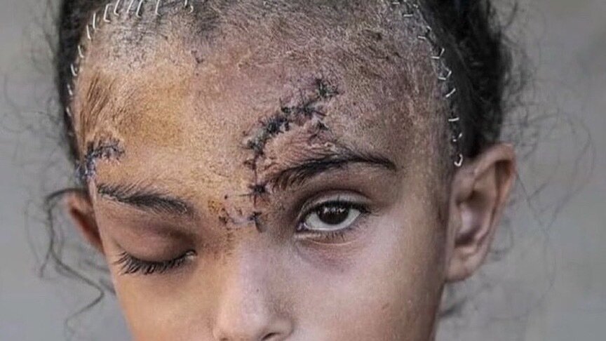 Petition · EXPEL ISRAEL’S AMBASSADOR TO AUSTRALIA, SACK JILLIAN SEGAL ...