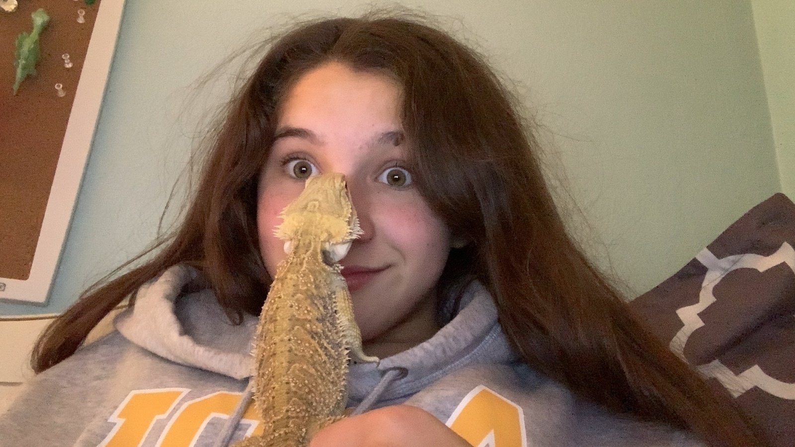 Petition · ADDY NEEDS TIK TOK - United States · Change.org