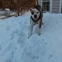 Petition · Hon. Patrick M. Yee, Jr., Massachusett District Court Judge ...