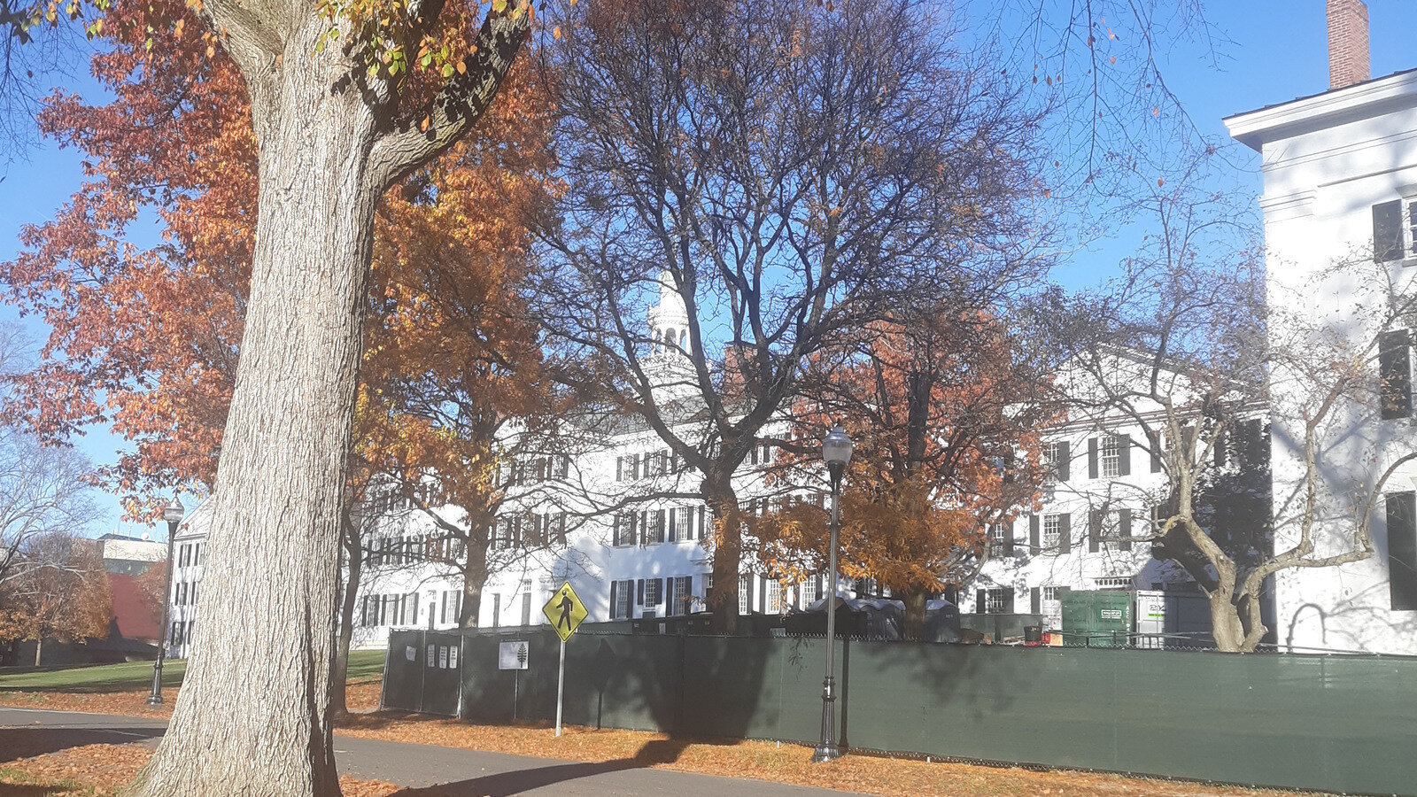 Petition · Dartmouth: Reject Trump's Compact for Academic Excellence in ...