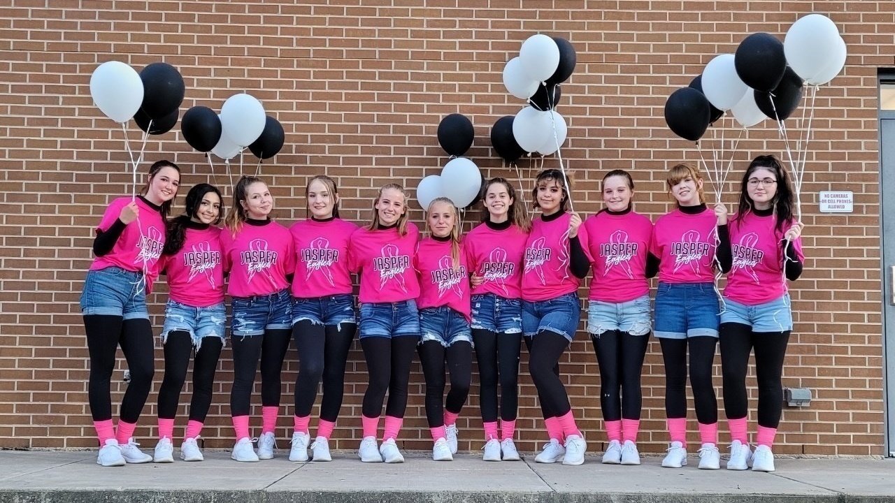 Petition · Help all WEMO conference cheerleaders cheer at both home and ...