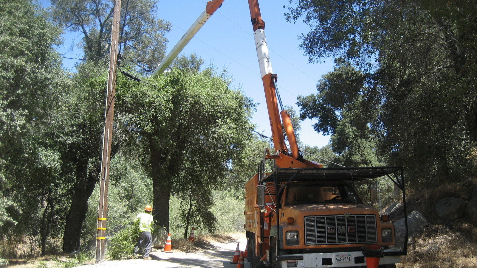 Petition · Save the 200-400 Year Old Live Oaks from Edison's ...