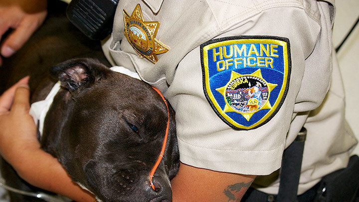 Petition · Humane agent for Trumbull County - United States · Change.org