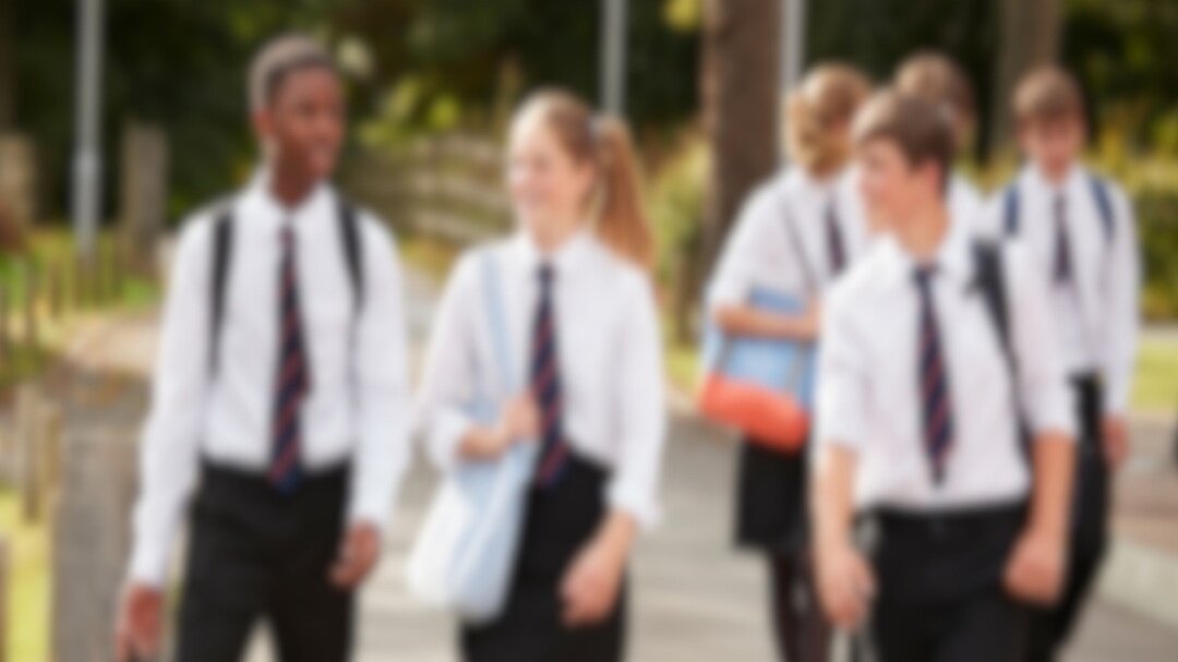 Petition · Knife - Gun Crime/County-Lines/Gang Affiliation Compulsory ...