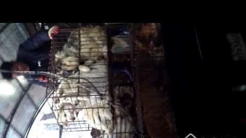 Petition · Will Kim Nam Joo play her part? Please Speak Out Against the ...