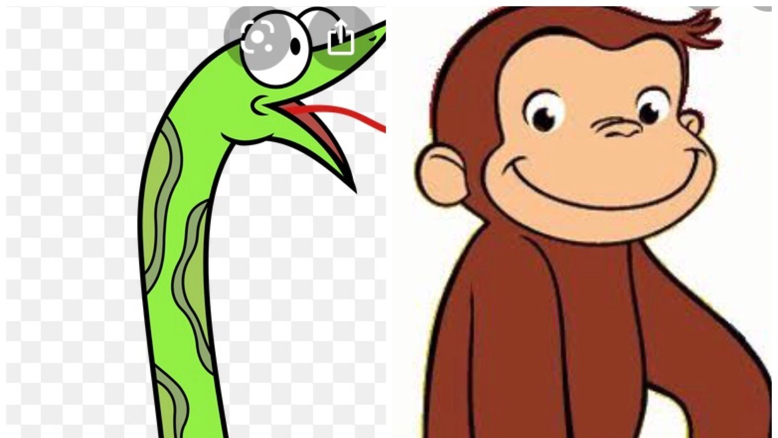 Petition · Legalise having monkeys and snakes as pets - New Zealand ...