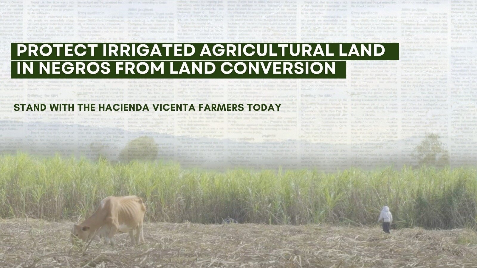 Petition · PROTECT IRRIGATED AGRICULTURAL LAND IN NEGROS FROM LAND ...