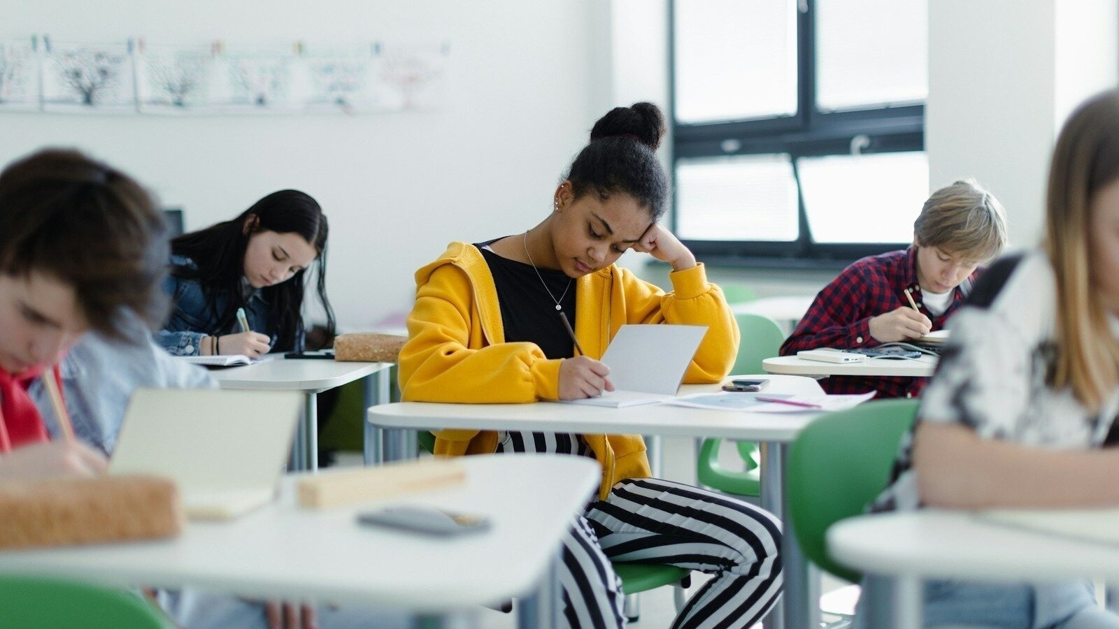 Petition · Stop the Ban on DEI in Kentucky’s Public Schools - United ...