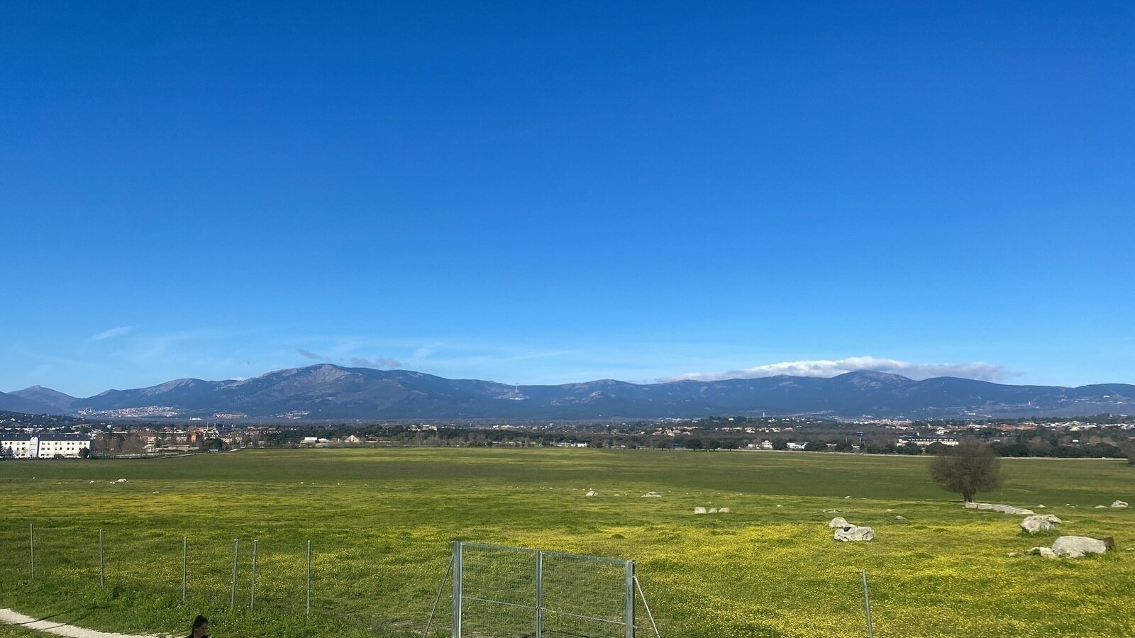 Petición · Retirada de la Carpa Joven de la Dehesa Boyal de Collado Villalba - Collado Villalba ...