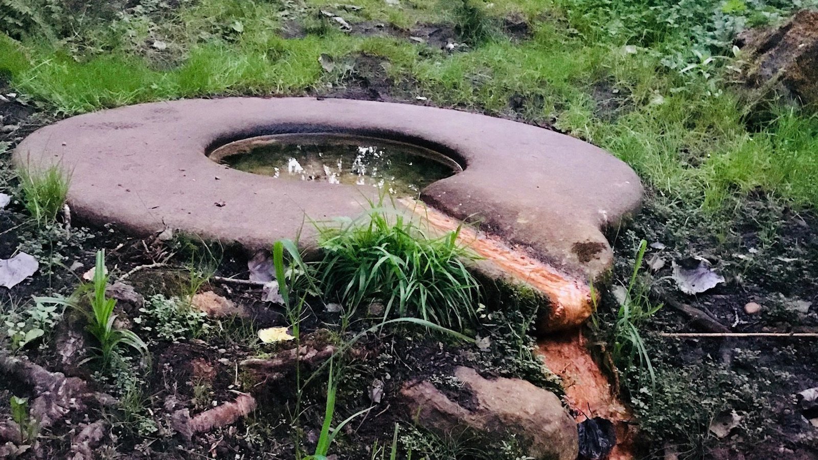 Petition · Make Licton Springs a Historical Landmark - United States ...