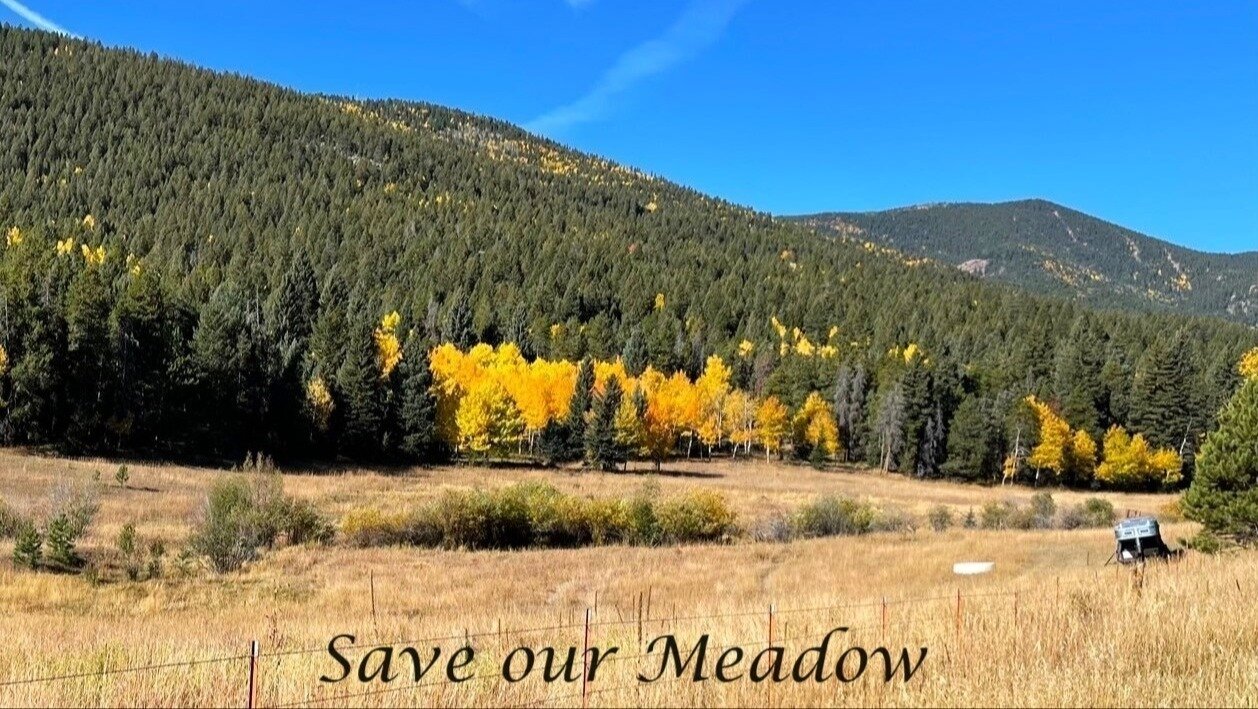 Petition · Black Mountain/Shadow Mountain Homeowners - Conifer, United ...