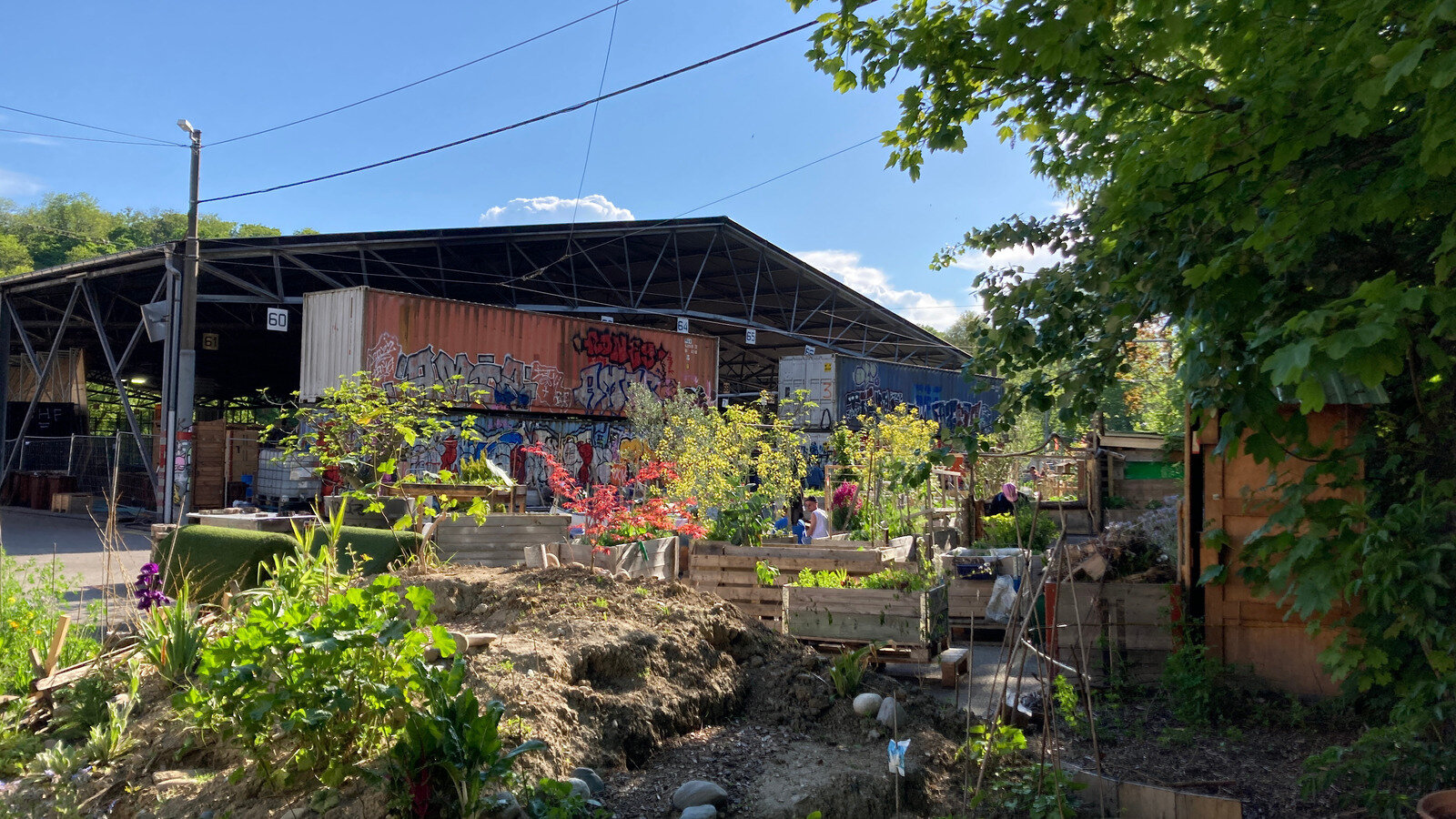 Petition · Refuge pour oiseaux et insectes : non au remplacement ...