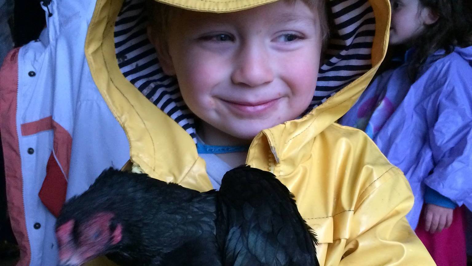 Petition · Support a Chicken Ordinance in Mendota Heights - Mendota ...