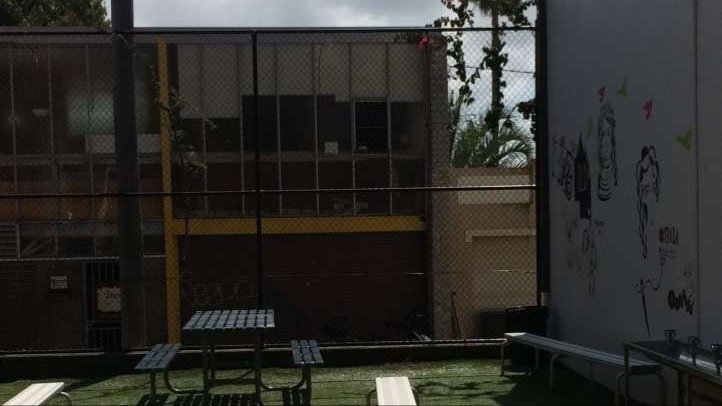 Petition Bring Back Our Trees Australia Change Org