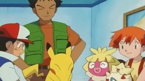 Petition · Bring Back Misty! - United States · Change.org