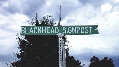 Petition · Times up for Blackhead Signpost Road - United States ...