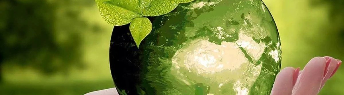 Petition · LET THE EARTH BREATH · Change.org