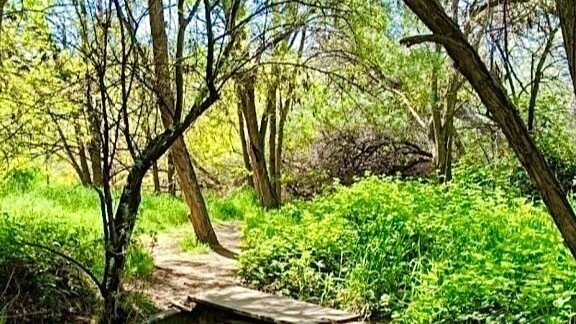 Petition · Transform Zintel Canyon into place where the Community can ...