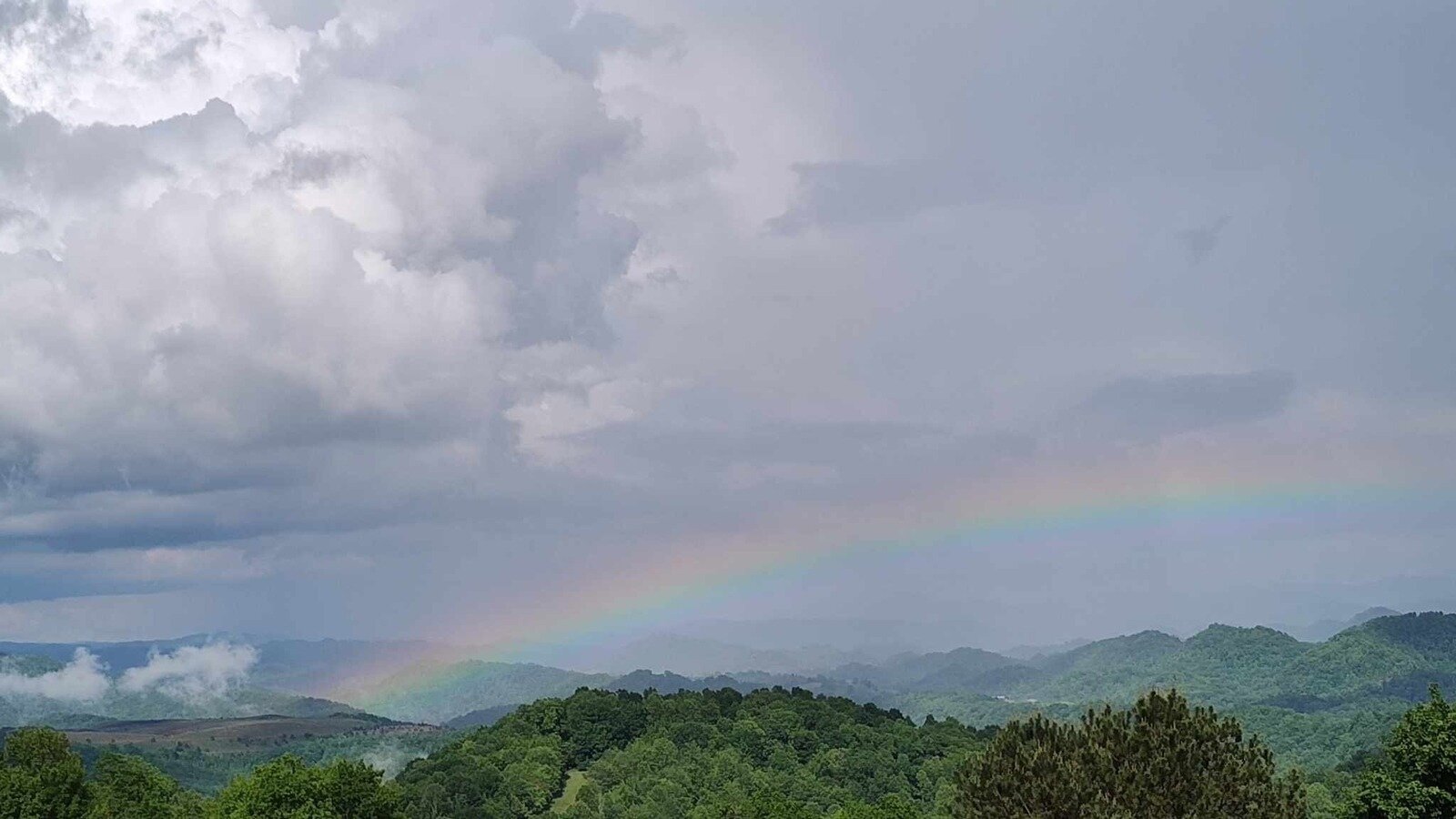 Petition · Recall Attorney Terry Gene Kilgore for Conflict of Interest ...